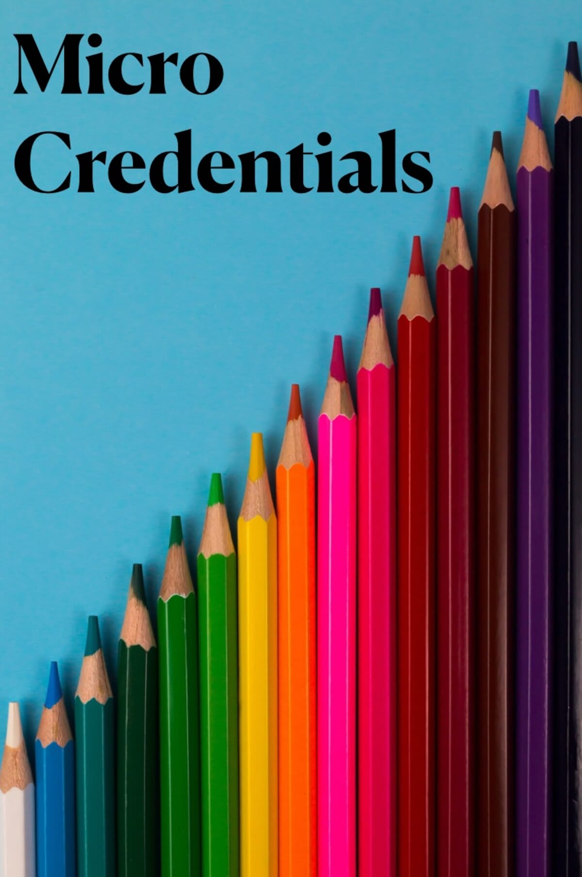 Micro-Credentials & Digital Badges — Learnful